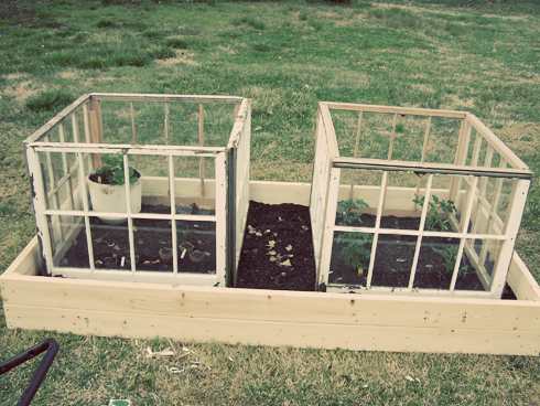 raised vegetable bed | myMCMlife.com